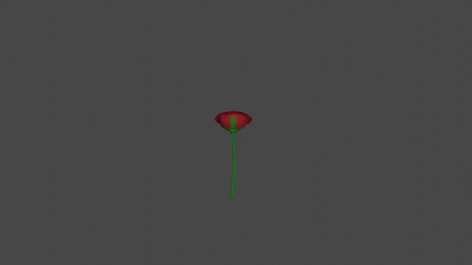 Simple rose free 3D model | CGTrader