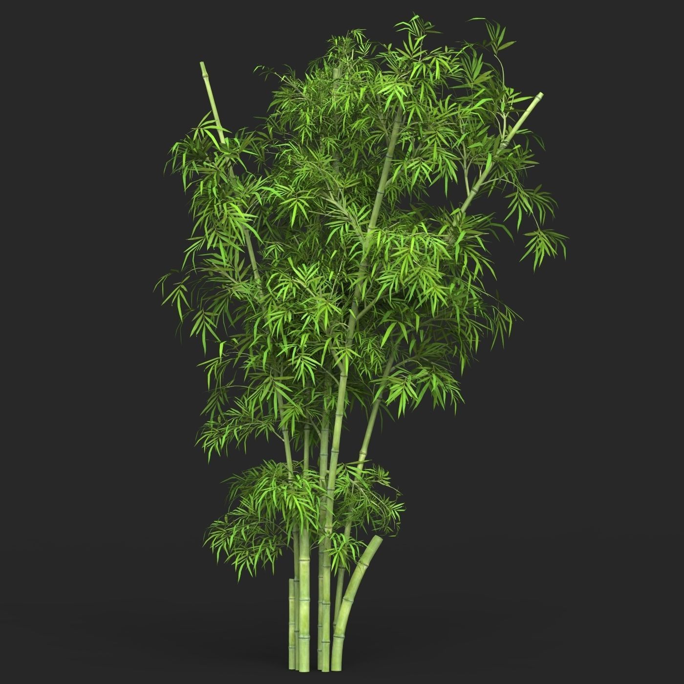 3D model Realistic Game Ready Bamboo Collection VR / AR / low-poly ...