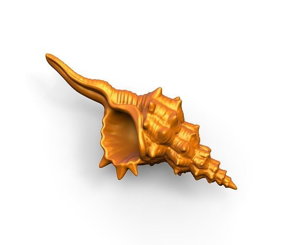 Shells conch shell 3D model 3D printable | CGTrader