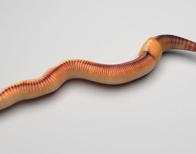 Worm 3D Models | CGTrader