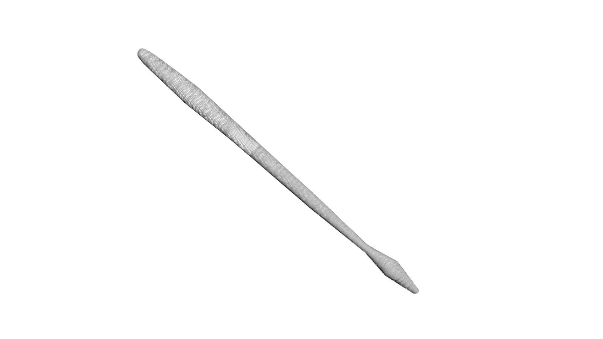 Straight Earthworm 3D model | CGTrader