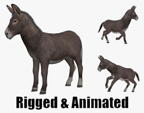 Animated donkey 3D Models | CGTrader