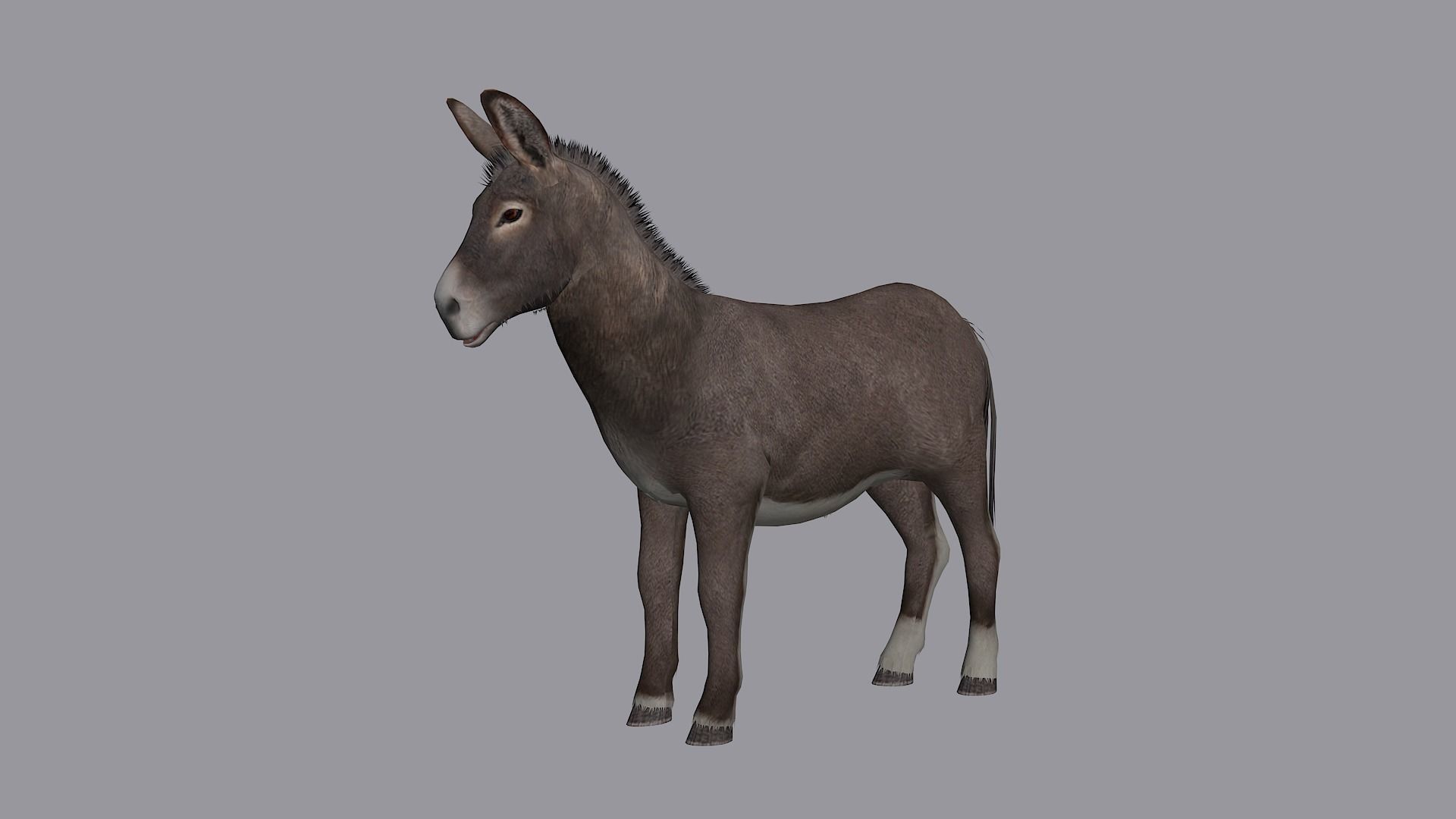 3D model animated donkey VR / AR / low-poly | CGTrader