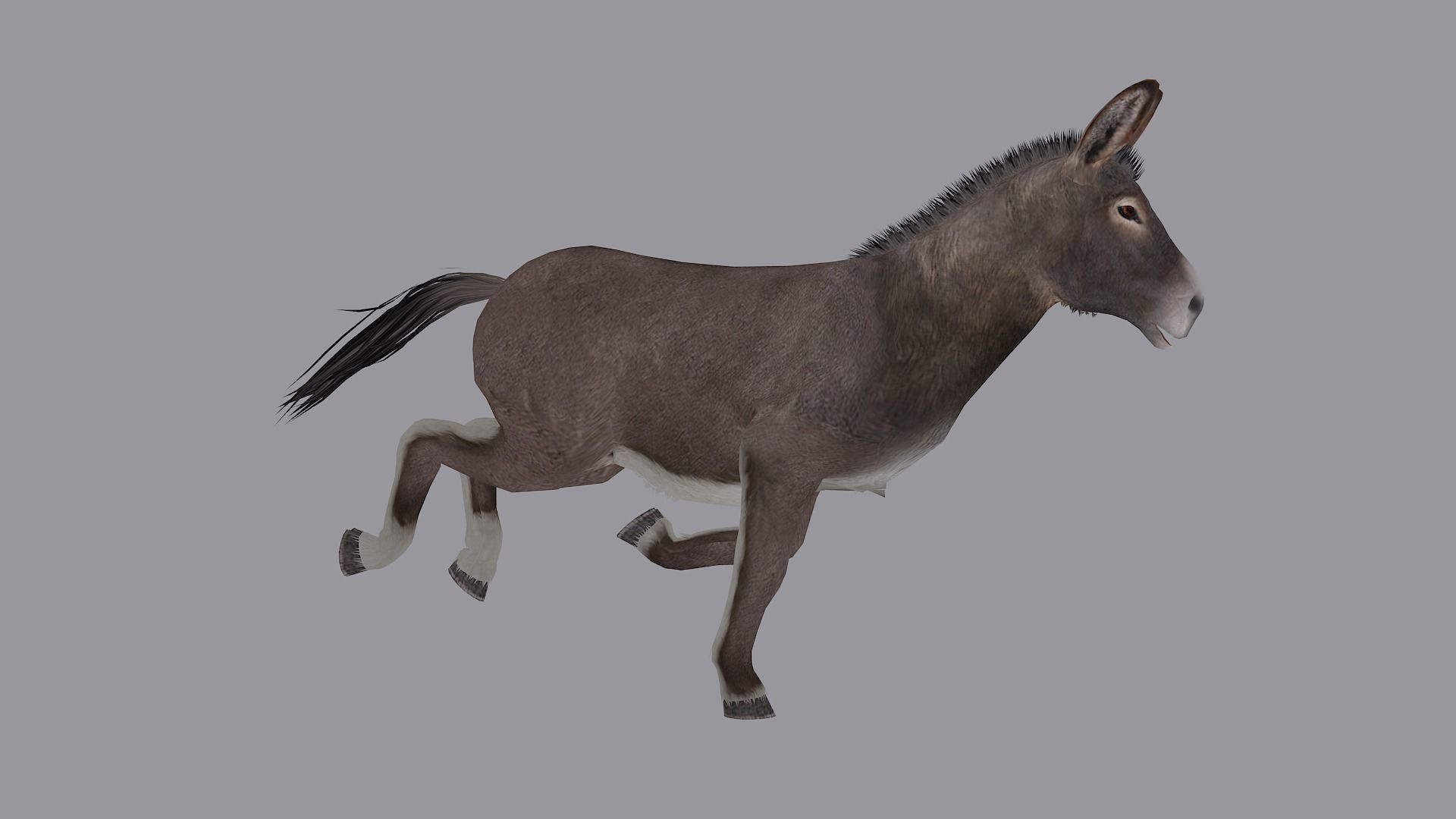 3D model animated donkey VR / AR / low-poly | CGTrader