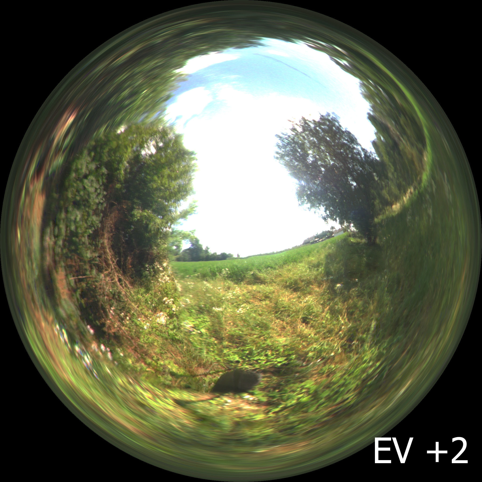 Countryside sunny day HDRi Texture | CGTrader