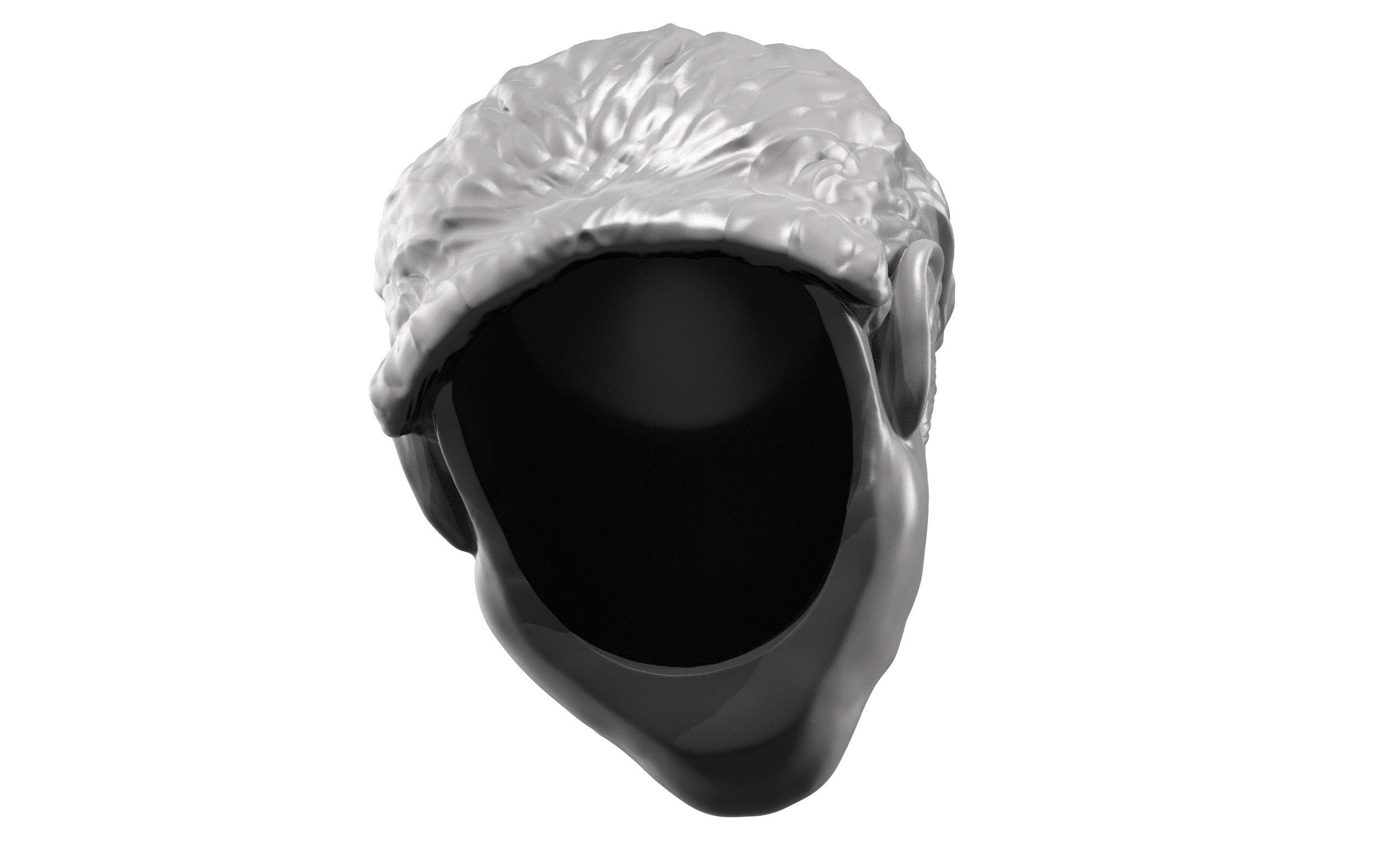 Elon Musk action figure portrait 3D model 3D printable | CGTrader