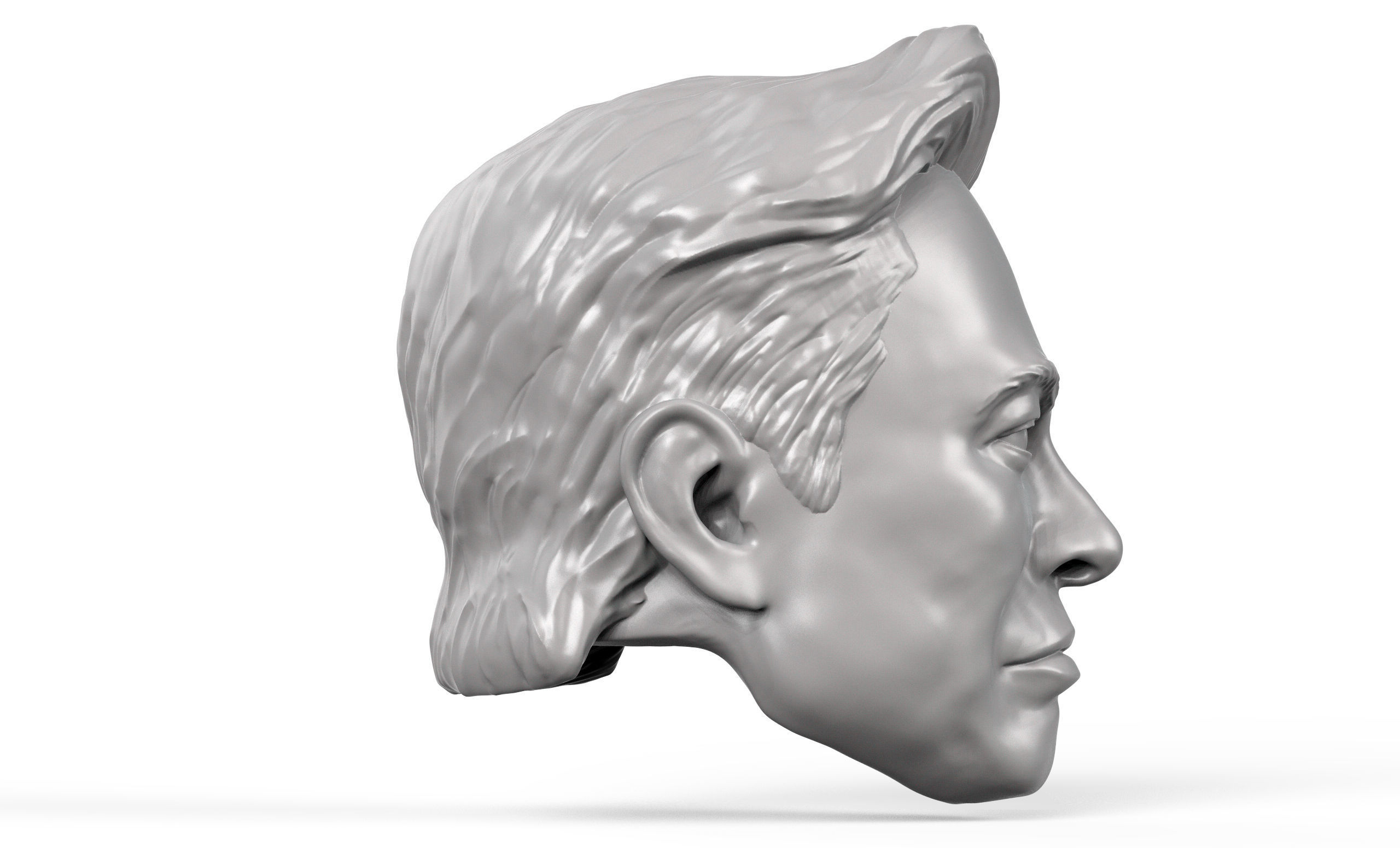Elon Musk action figure portrait 3D model 3D printable | CGTrader