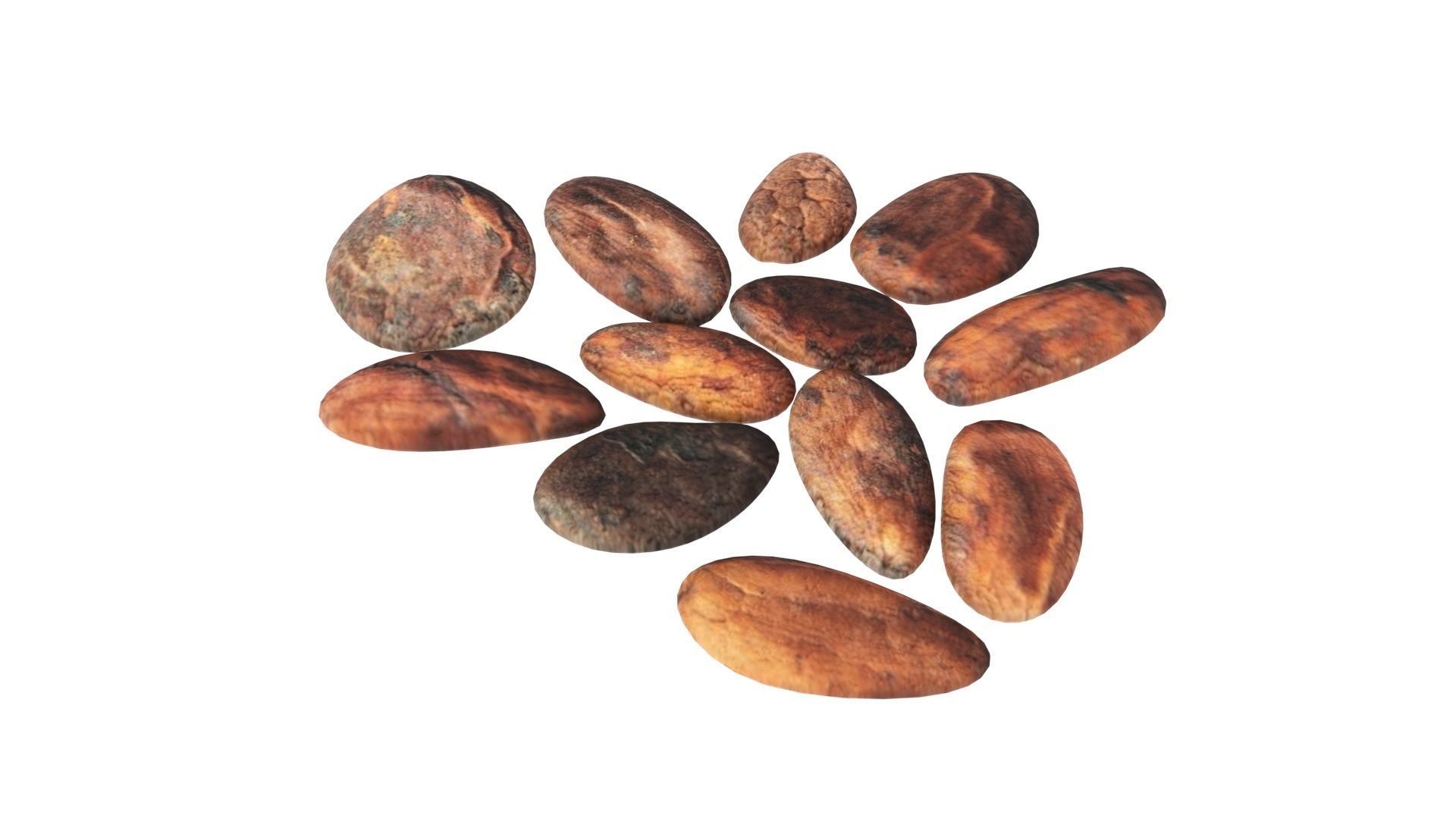 Cocoa Beans 3D model | CGTrader