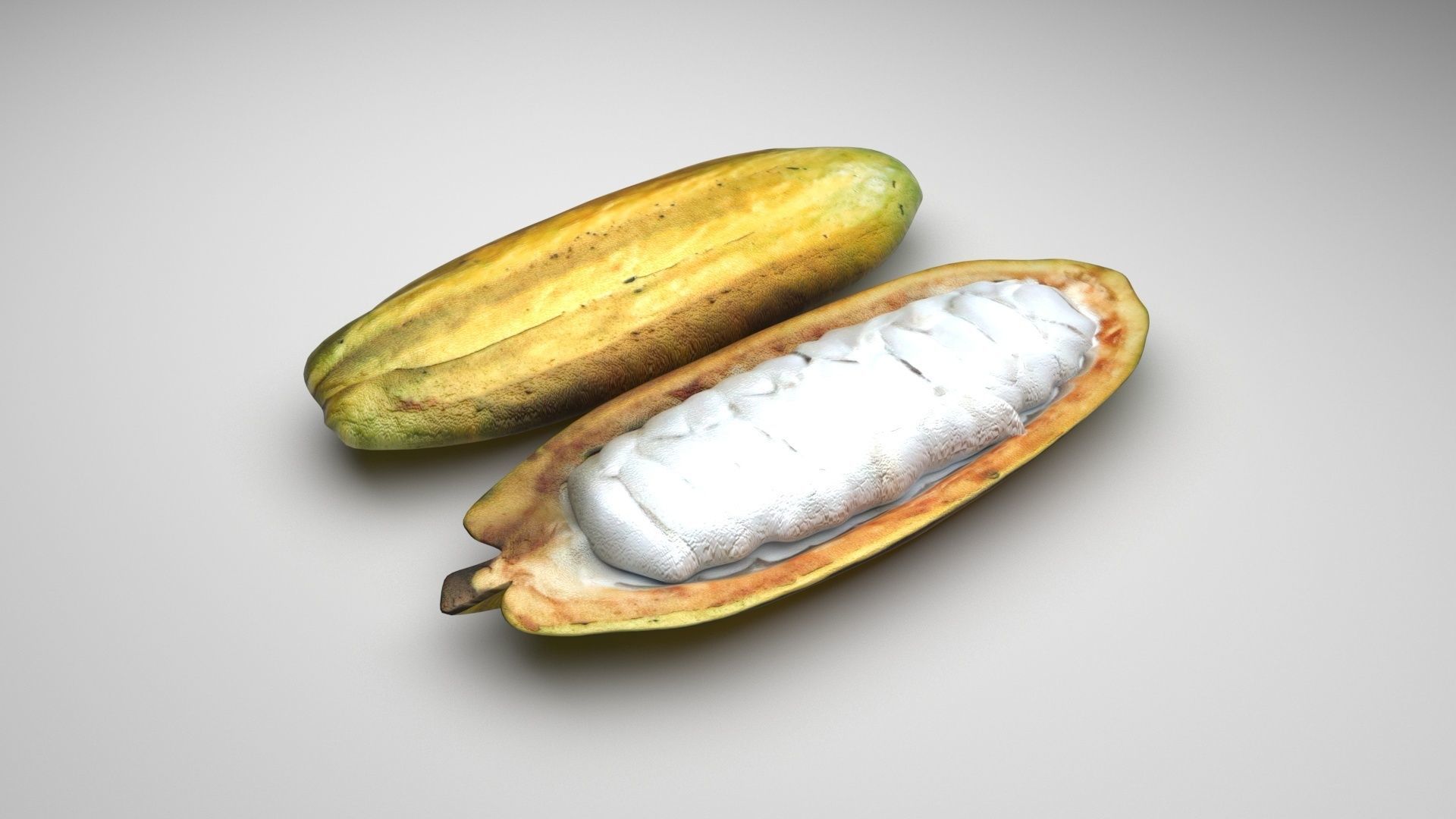 Opened and Unripe Cocoa Fruit 3D model | CGTrader