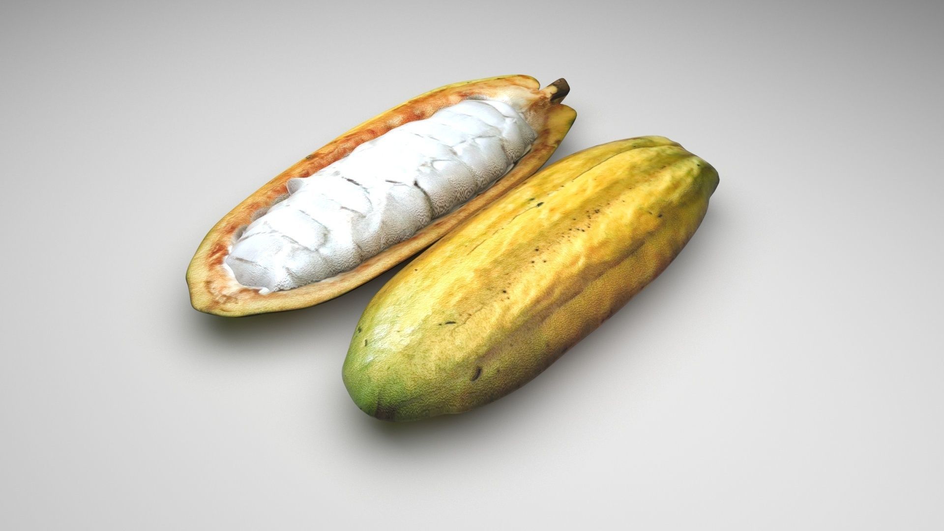 Opened and Unripe Cocoa Fruit 3D model | CGTrader