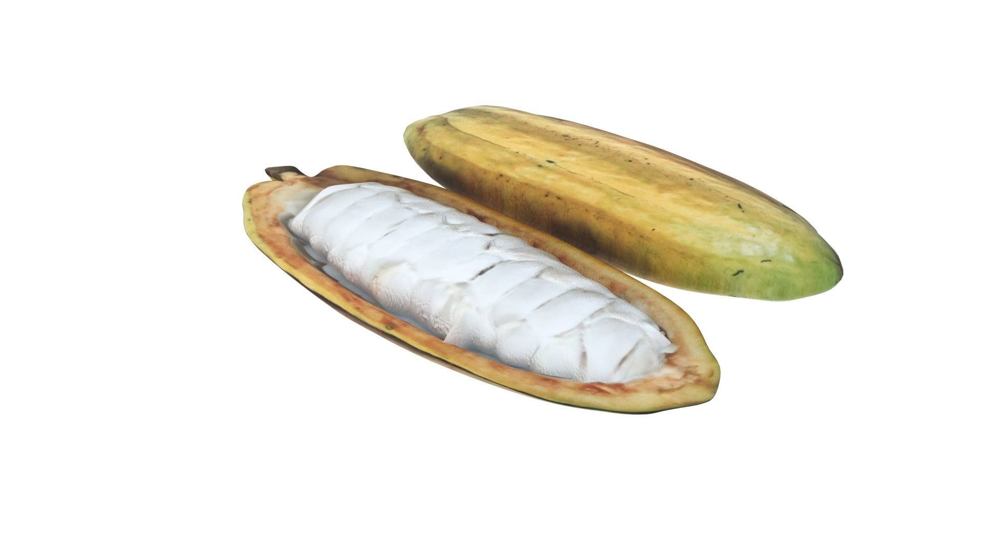 Opened and Unripe Cocoa Fruit 3D model | CGTrader