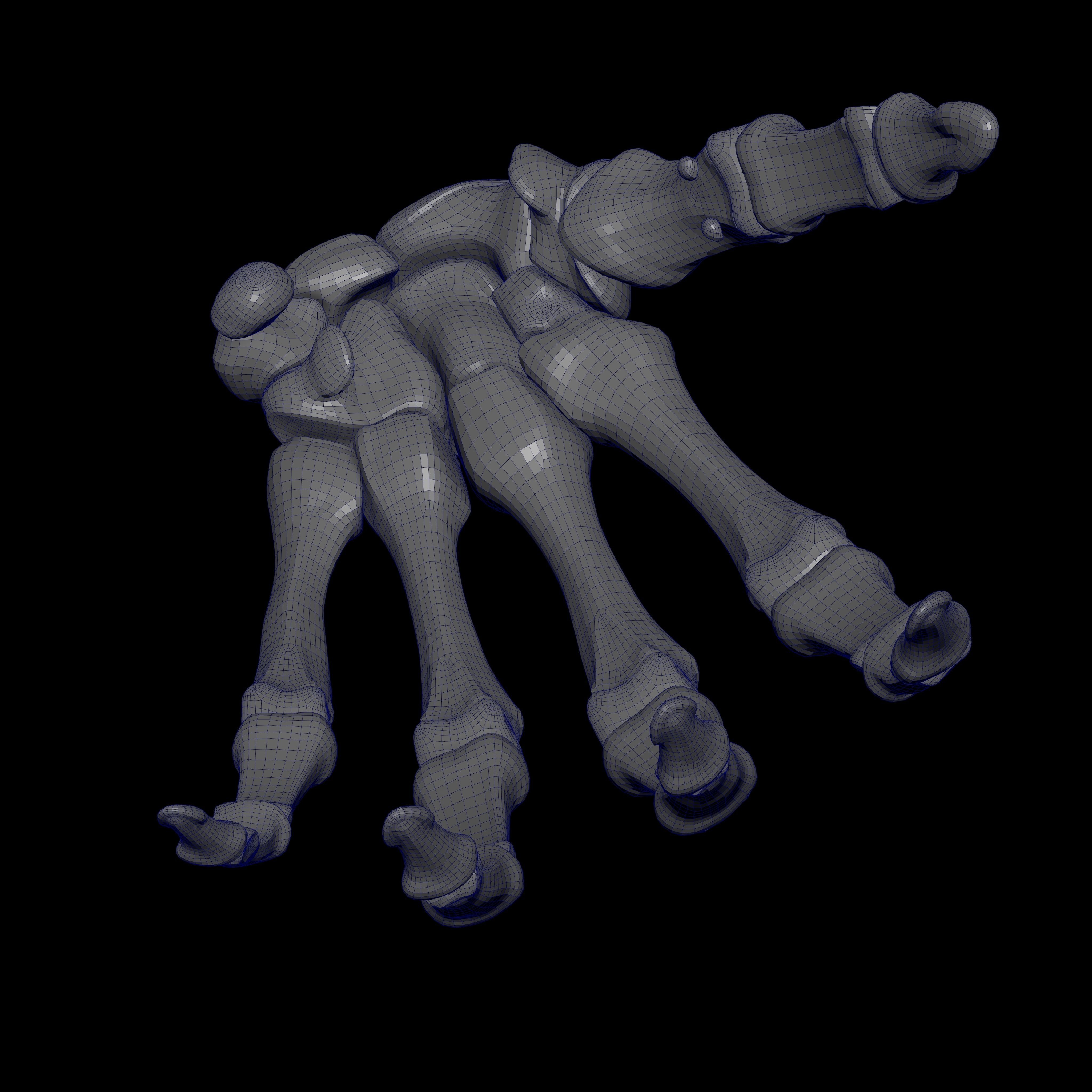 3D model Human Arm Bones - Homerus - Ulna - Radius - Hand VR / AR / low ...