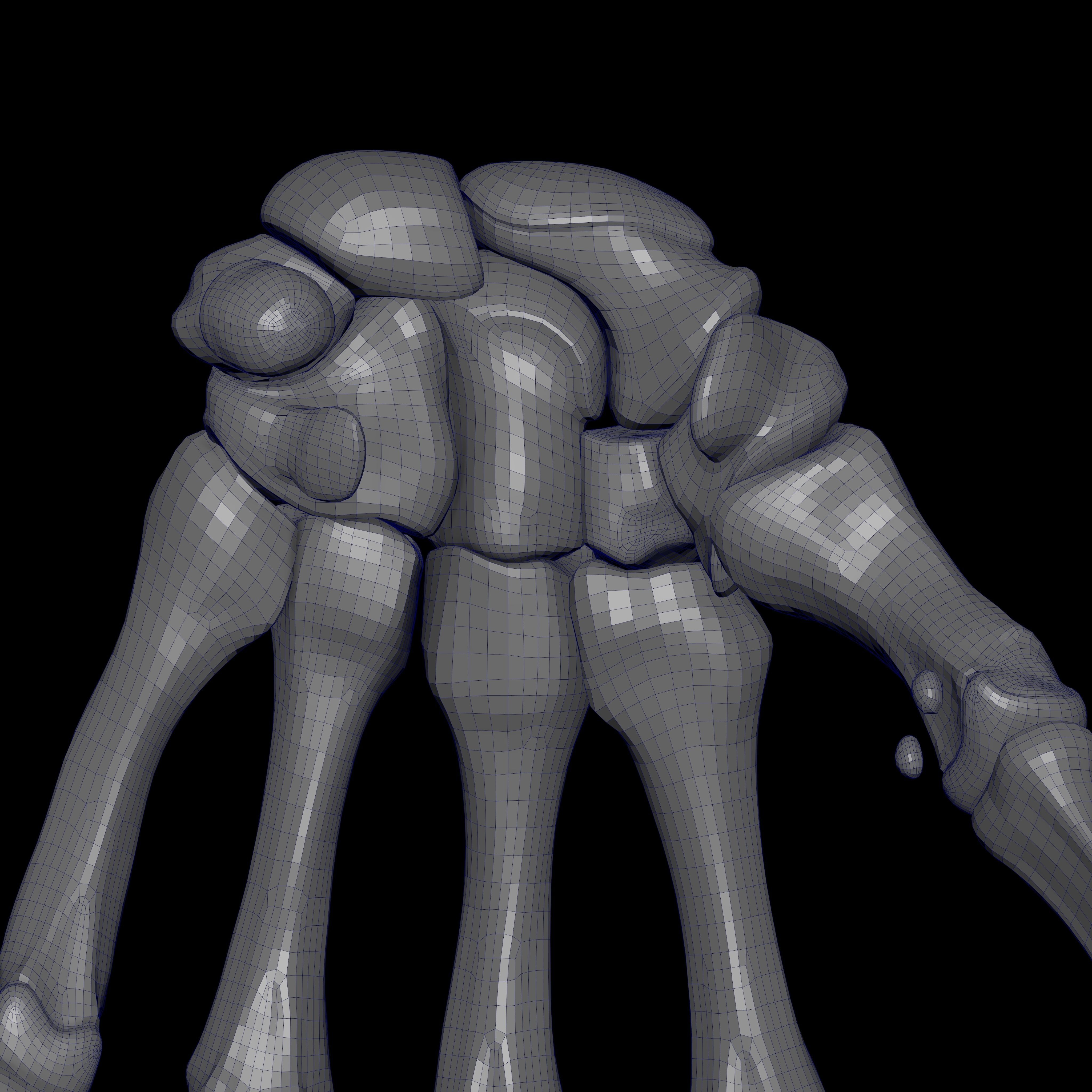 3D model Human Arm Bones - Homerus - Ulna - Radius - Hand VR / AR / low ...