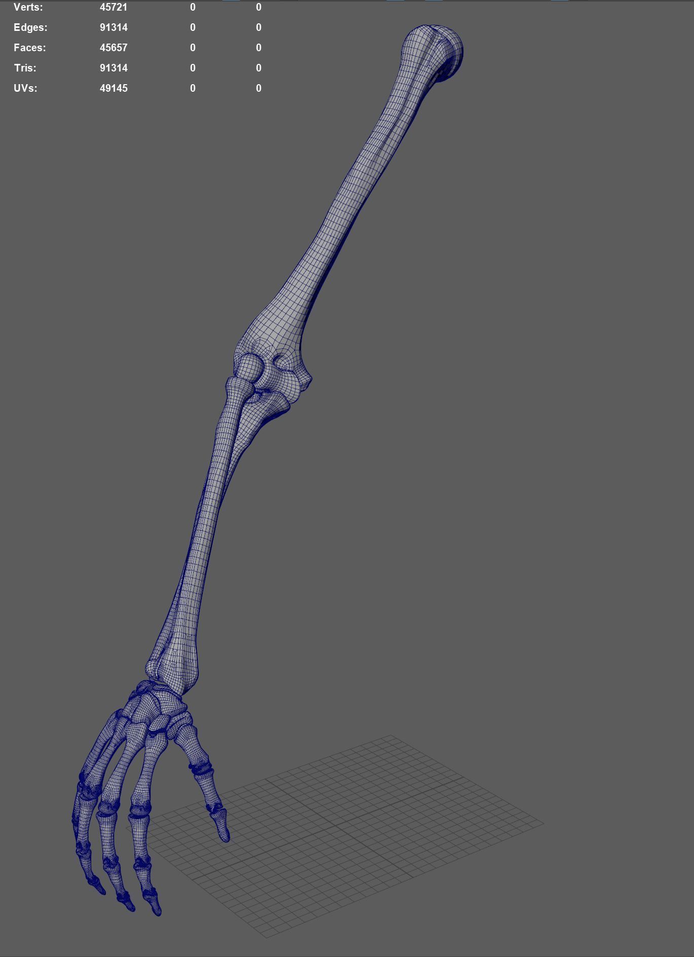 3D model Human Arm Bones - Homerus - Ulna - Radius - Hand VR / AR / low ...