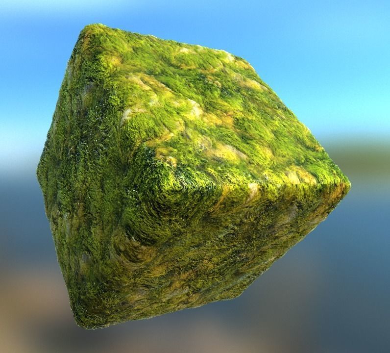 Green Seaweeds and Sand Texture Texture | CGTrader