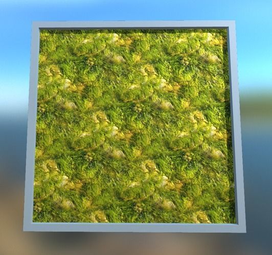 Green Seaweeds and Sand Texture Texture | CGTrader