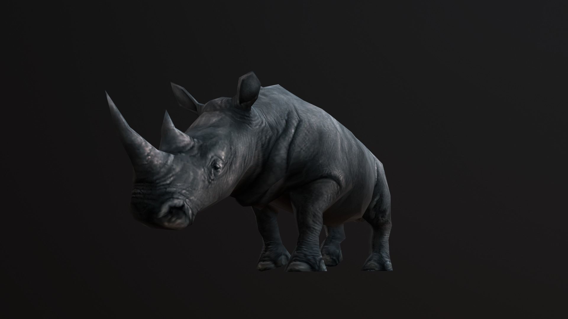 3D model low-poly animated rhinoceros rhino VR / AR / low-poly | CGTrader