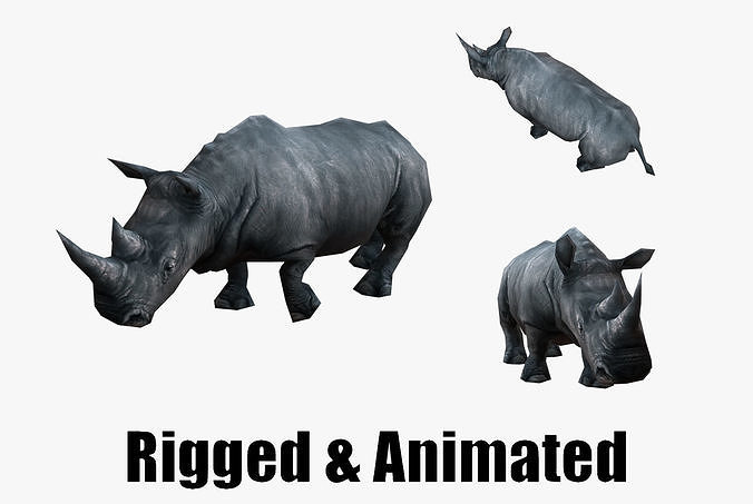 3D model low-poly animated rhinoceros rhino VR / AR / low-poly | CGTrader