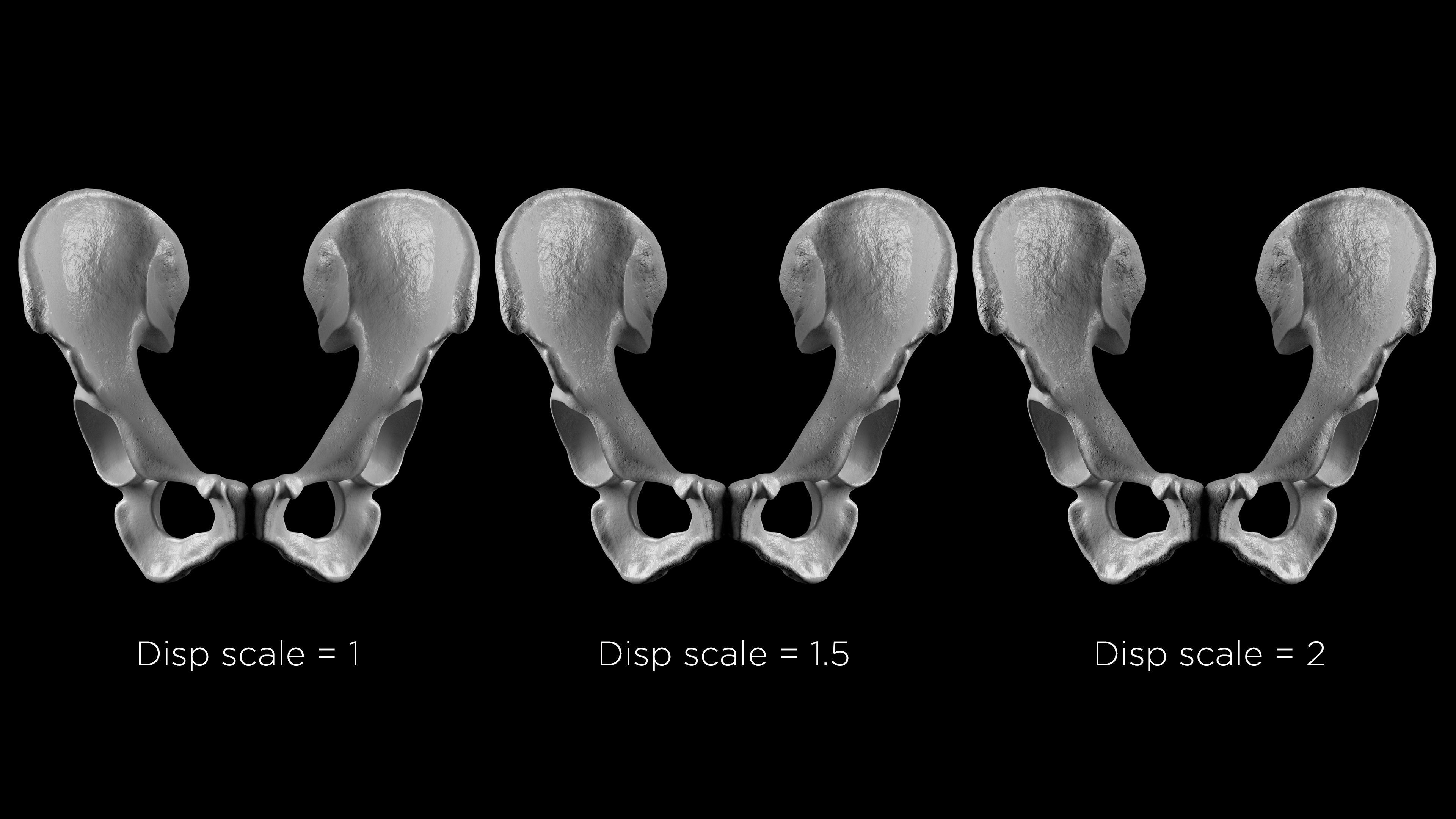 3D model Human Ilium - Hip Bone VR / AR / low-poly | CGTrader
