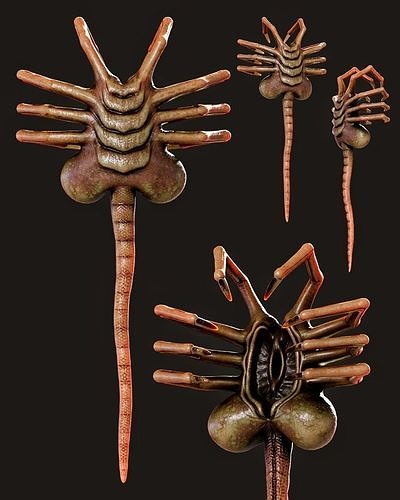 Facehugger Alien Attack