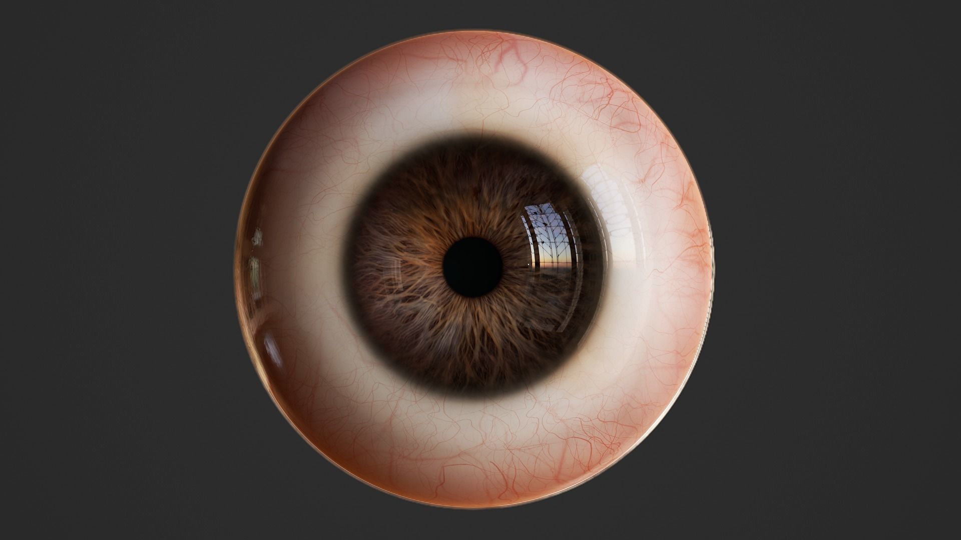 3D model Realistic Human eye VR / AR / low-poly | CGTrader