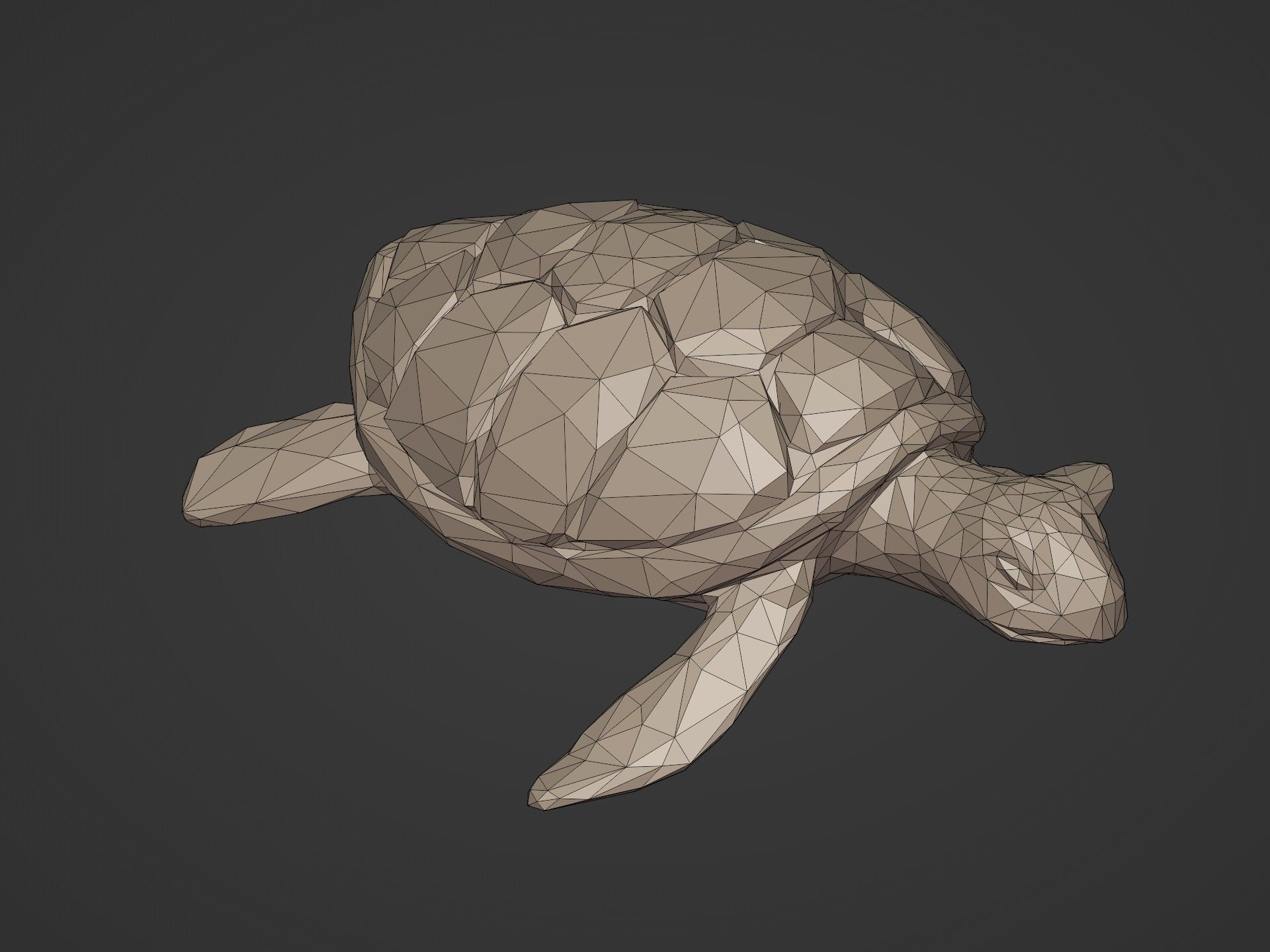 3D model LowPoly Sea Turtle VR / AR / low-poly | CGTrader
