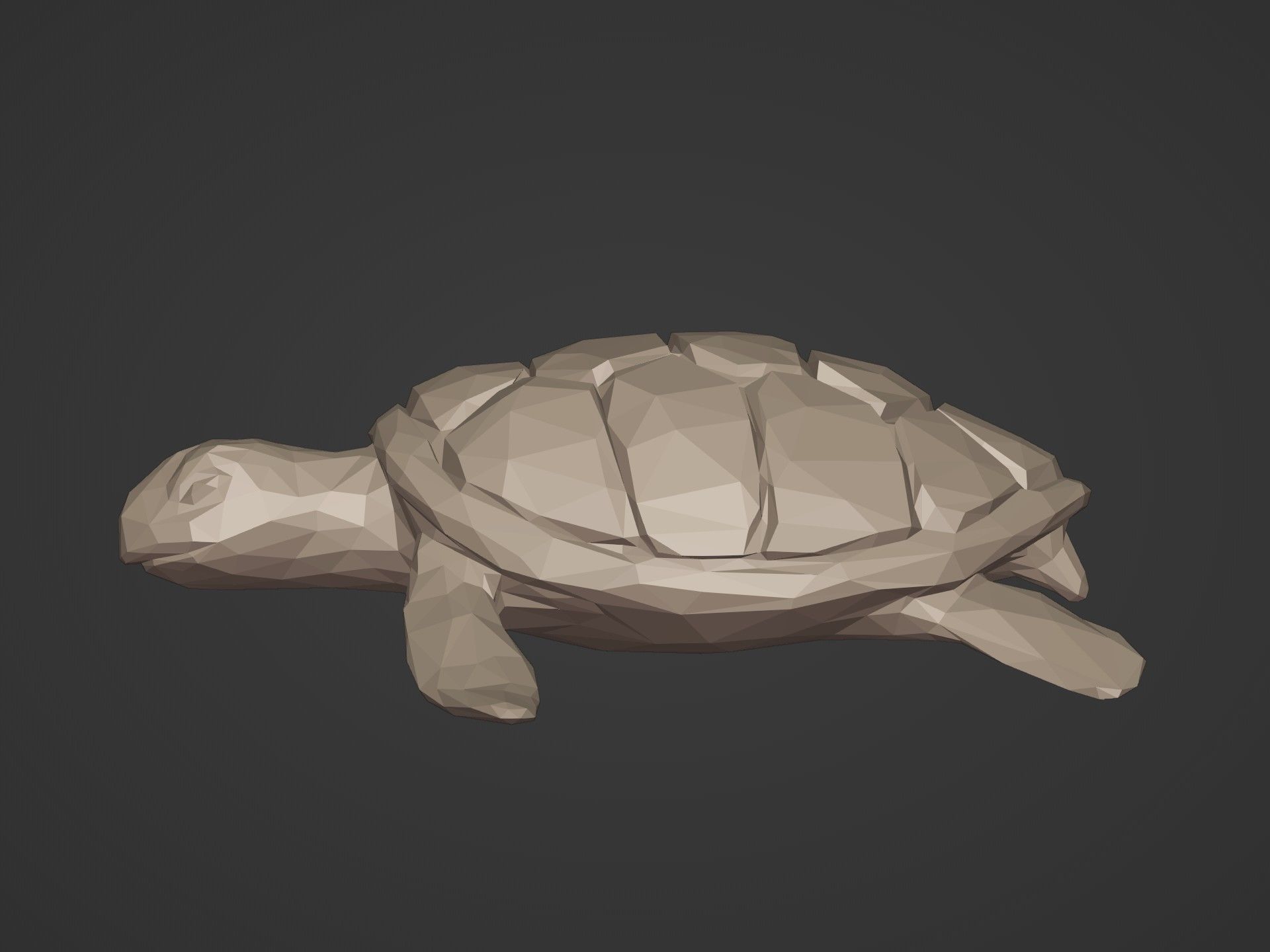 3D model LowPoly Sea Turtle VR / AR / low-poly | CGTrader