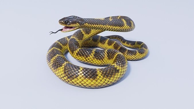 3D model Animated Tiger Snake VR / AR / low-poly | CGTrader