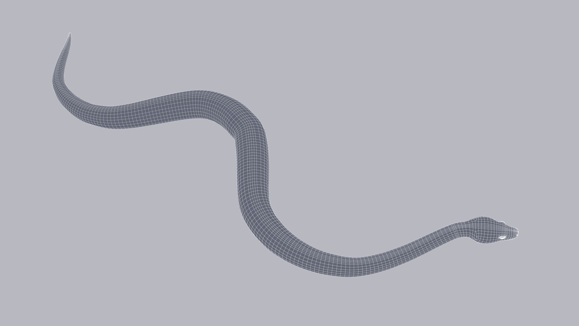 3D model Animated Zebra Jungle Carpet Python VR / AR / low-poly | CGTrader