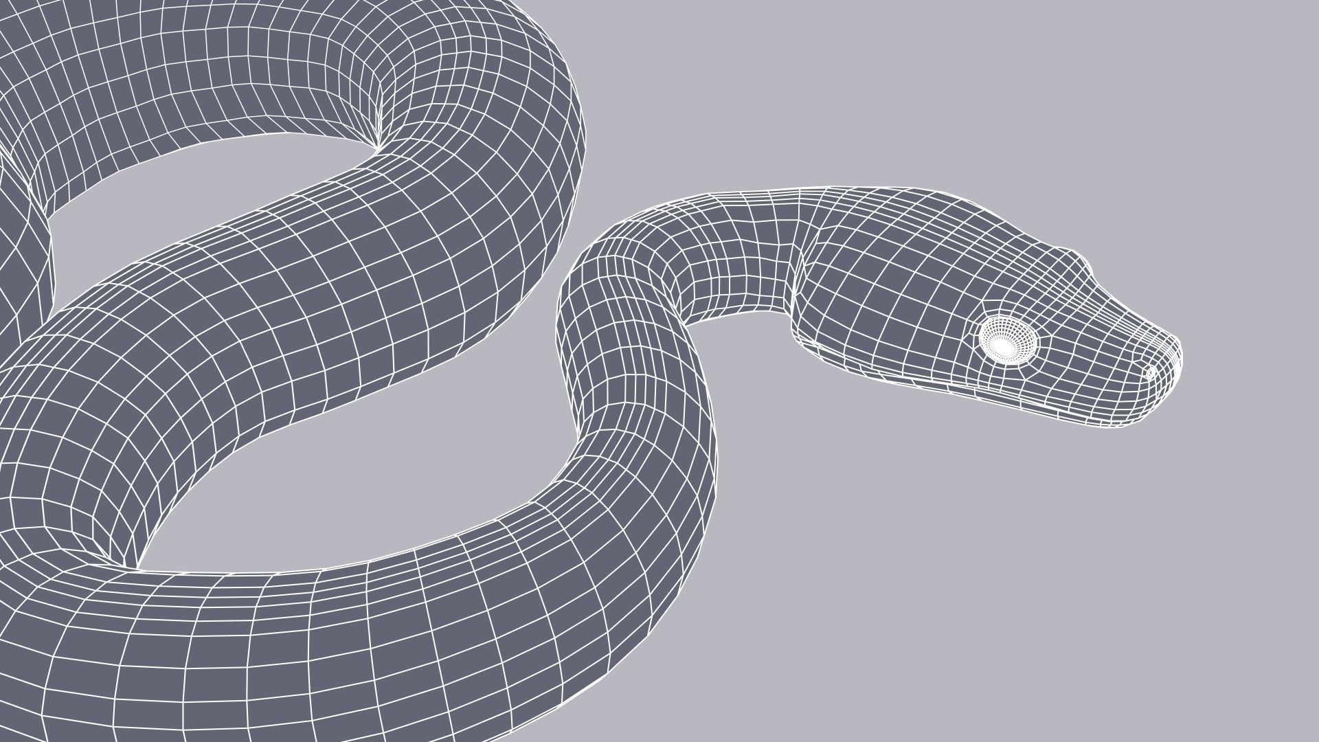 3D model Animated Zebra Jungle Carpet Python VR / AR / low-poly | CGTrader