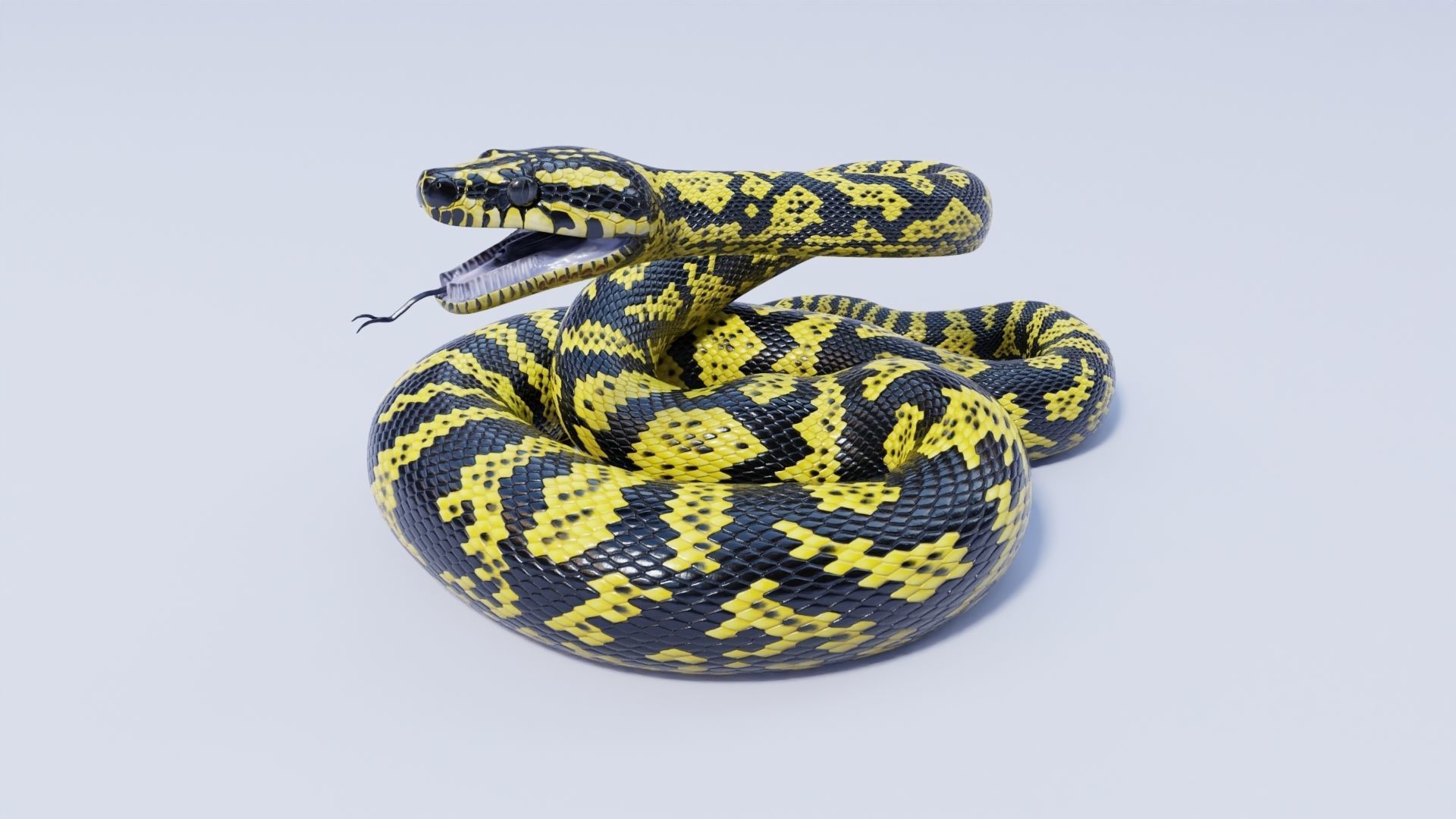 3D model Animated Zebra Jungle Carpet Python VR / AR / low-poly | CGTrader
