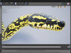3D model Animated Zebra Jungle Carpet Python VR / AR / low-poly | CGTrader