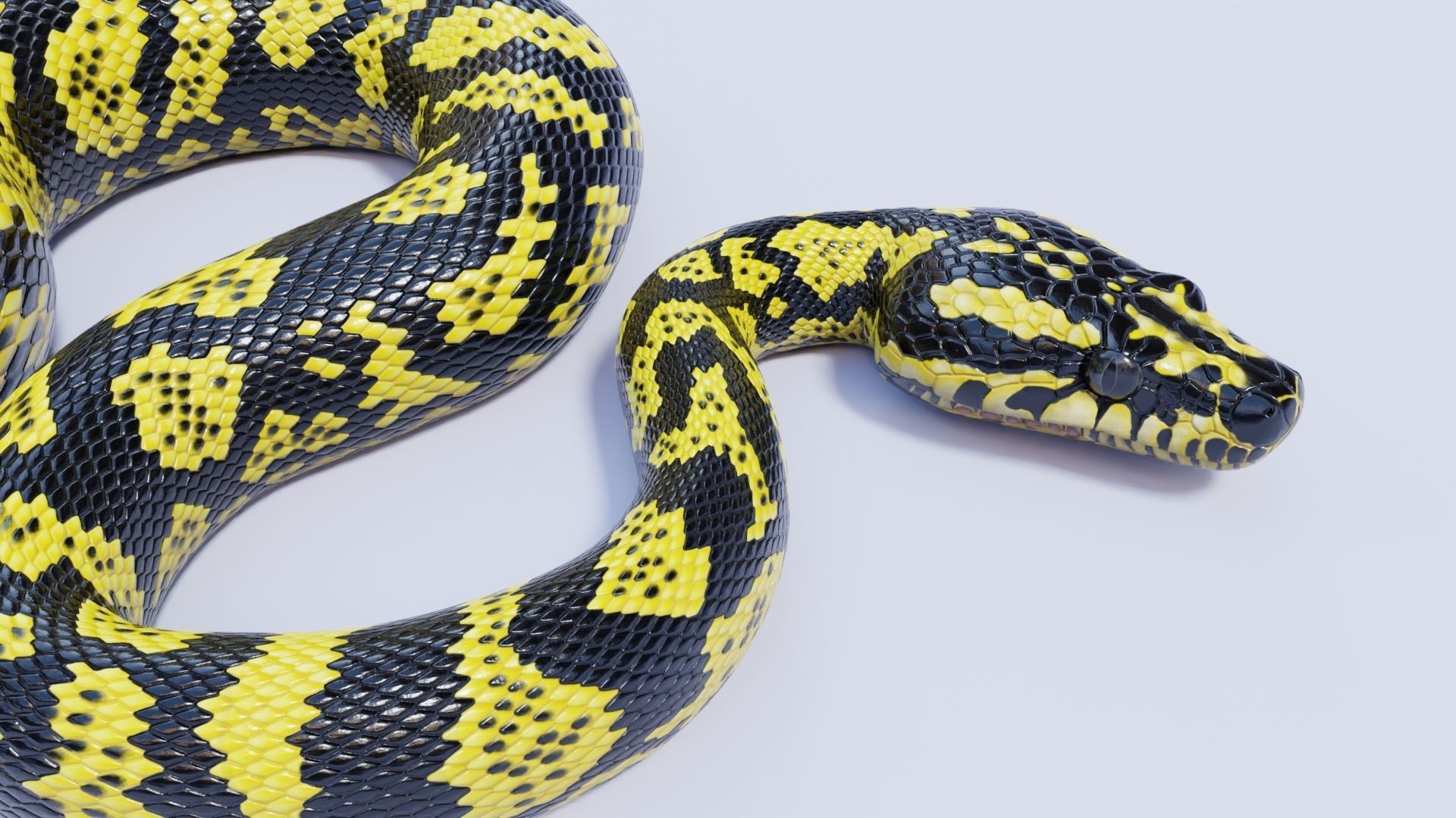 3D model Animated Zebra Jungle Carpet Python VR / AR / low-poly | CGTrader