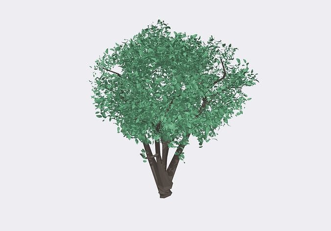 3D model Big tree VR / AR / low-poly | CGTrader