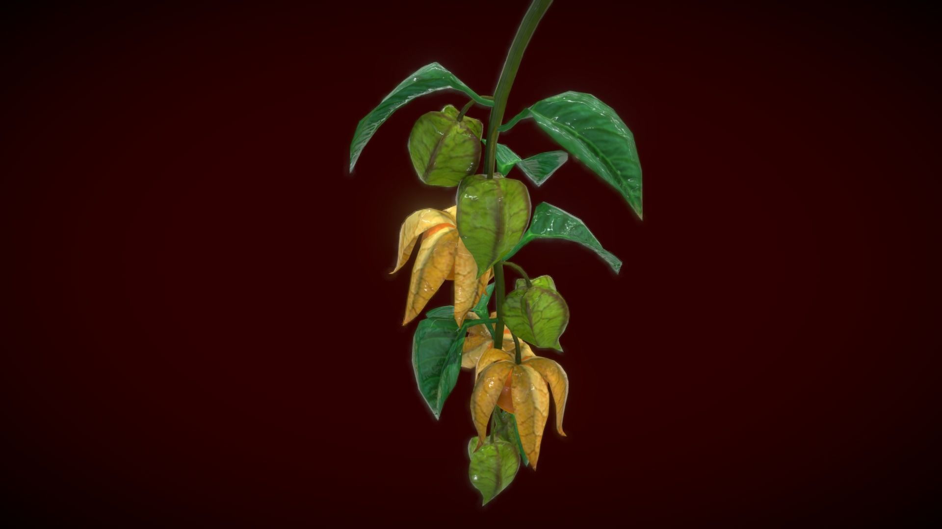 3D model Collection Fruit Path1 VR / AR / low-poly | CGTrader