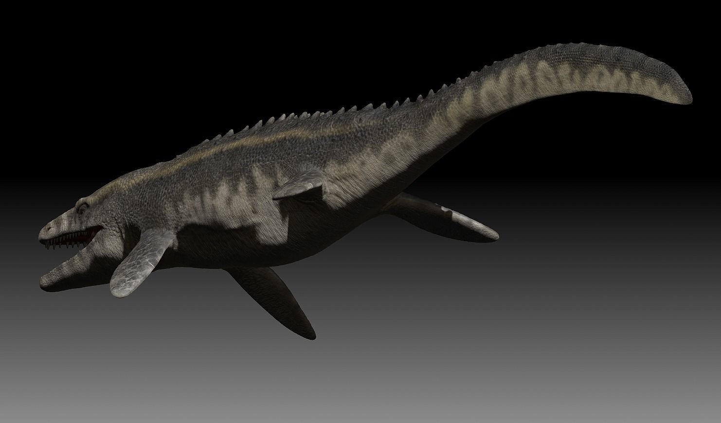 Mosasaurus free 3D model | CGTrader
