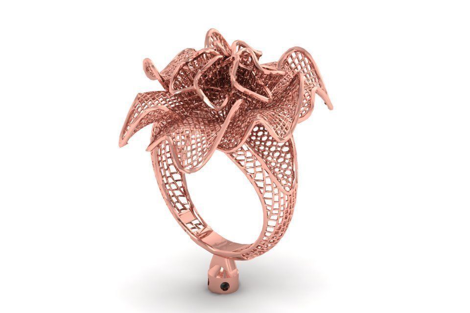 Filigree Ring STL OBJ FBX Renders Details 3D model 3D printable | CGTrader