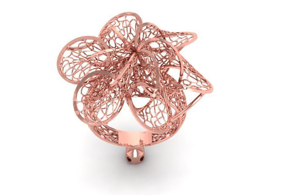Filigree Ring STL OBJ FBX Renders Details 3D model 3D printable | CGTrader
