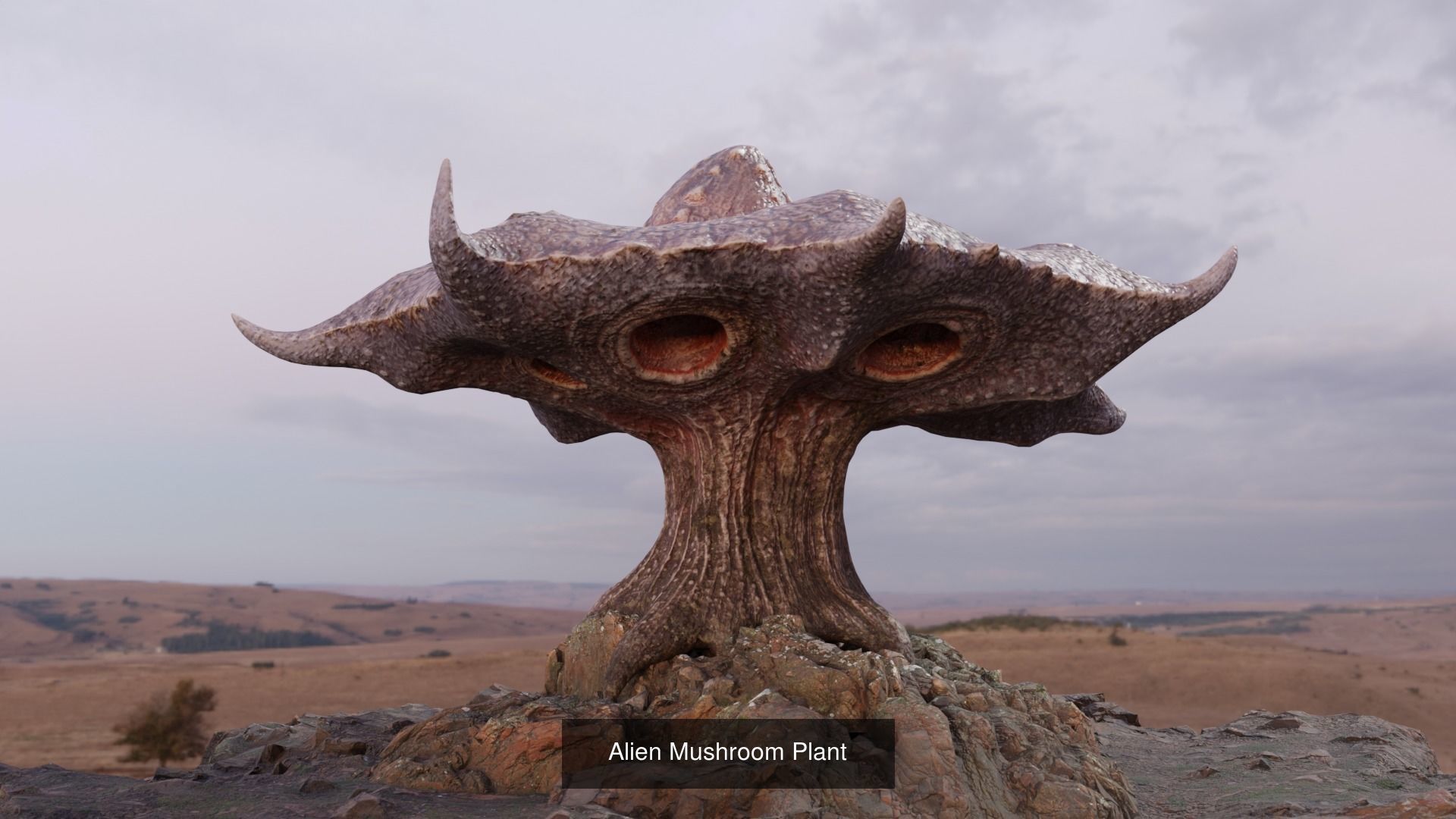 3D Model Collection Alien Vegetation VR / AR / low-poly | CGTrader