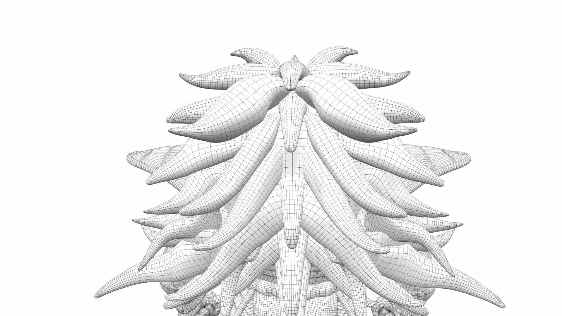 Raditz from Dragon Ball 3D model | CGTrader