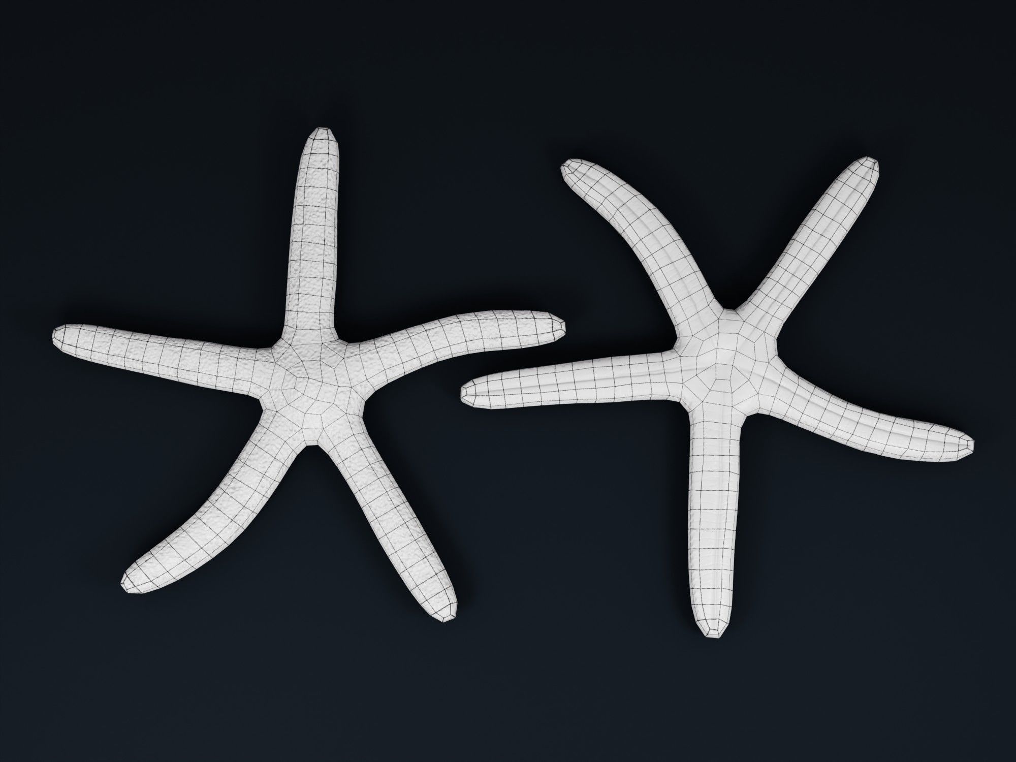 3D model Low Poly Sea Shells Pack with Unreal Engine 5 Project VR / AR ...