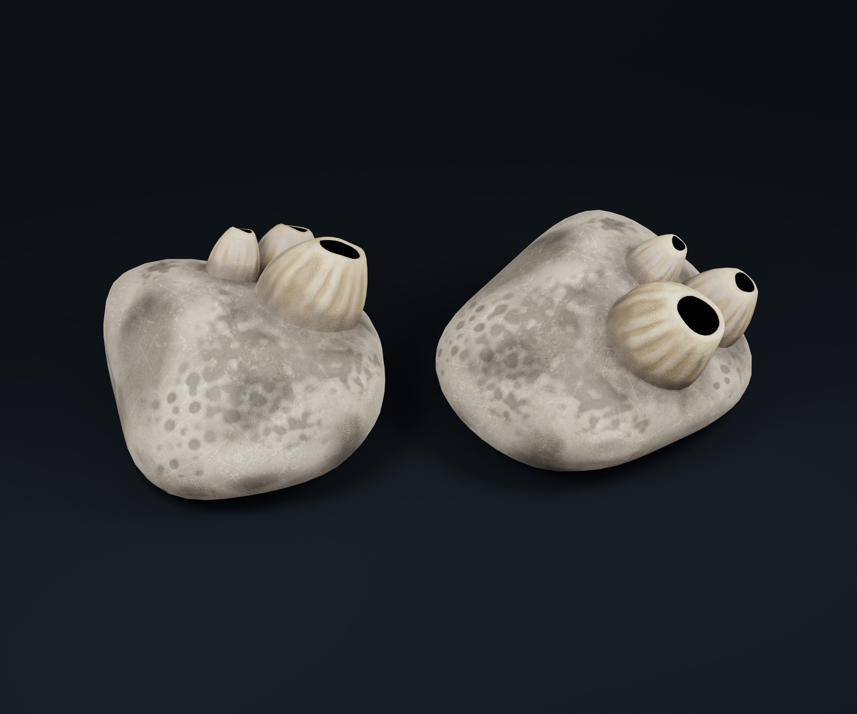 3D model Low Poly Sea Shells Pack with Unreal Engine 5 Project VR / AR ...