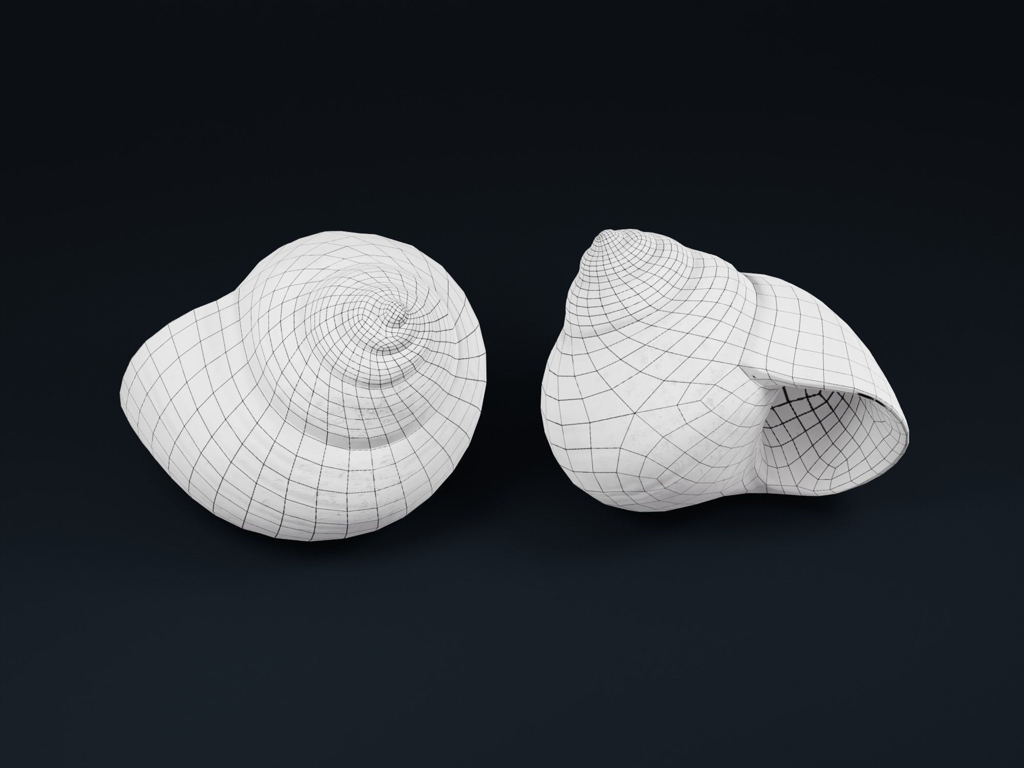 3D model Low Poly Sea Shells Pack with Unreal Engine 5 Project VR / AR ...