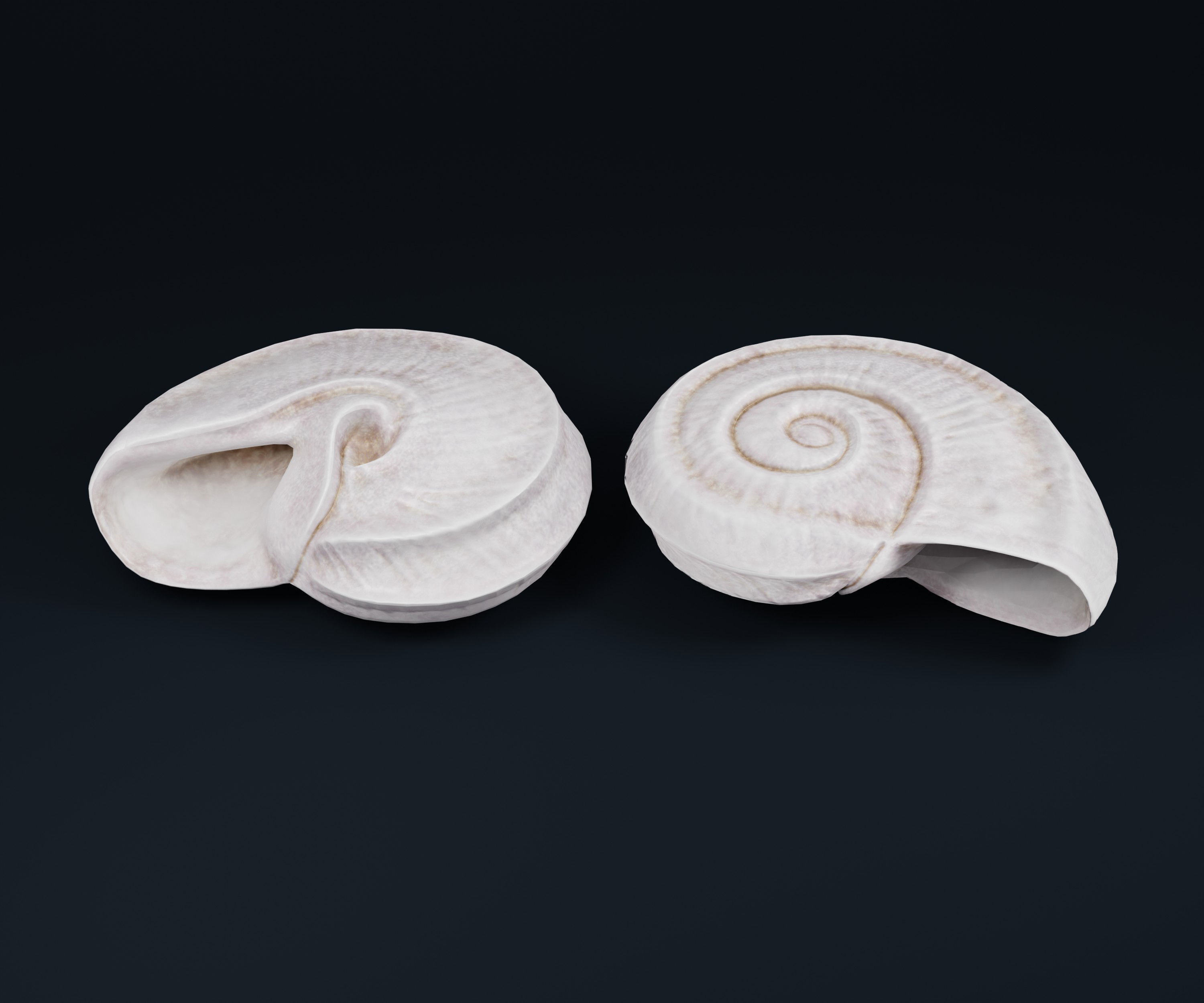 3D model Low Poly Sea Shells Pack with Unreal Engine 5 Project VR / AR ...