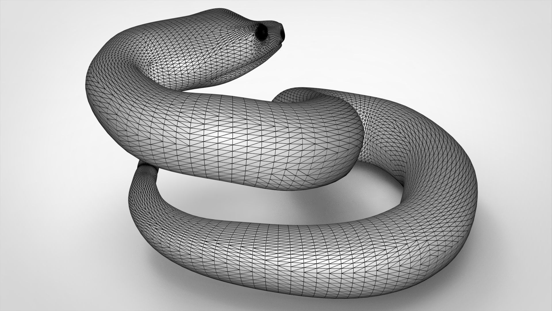 Adder Viper Snake 3D model | CGTrader