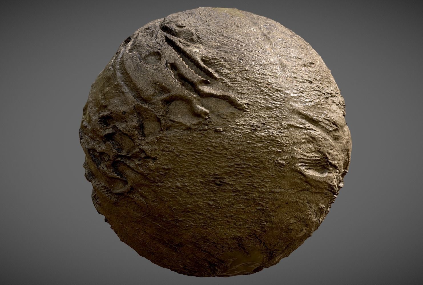 Texture Tilable Mud puddle PBR shader VR / AR / low-poly | CGTrader