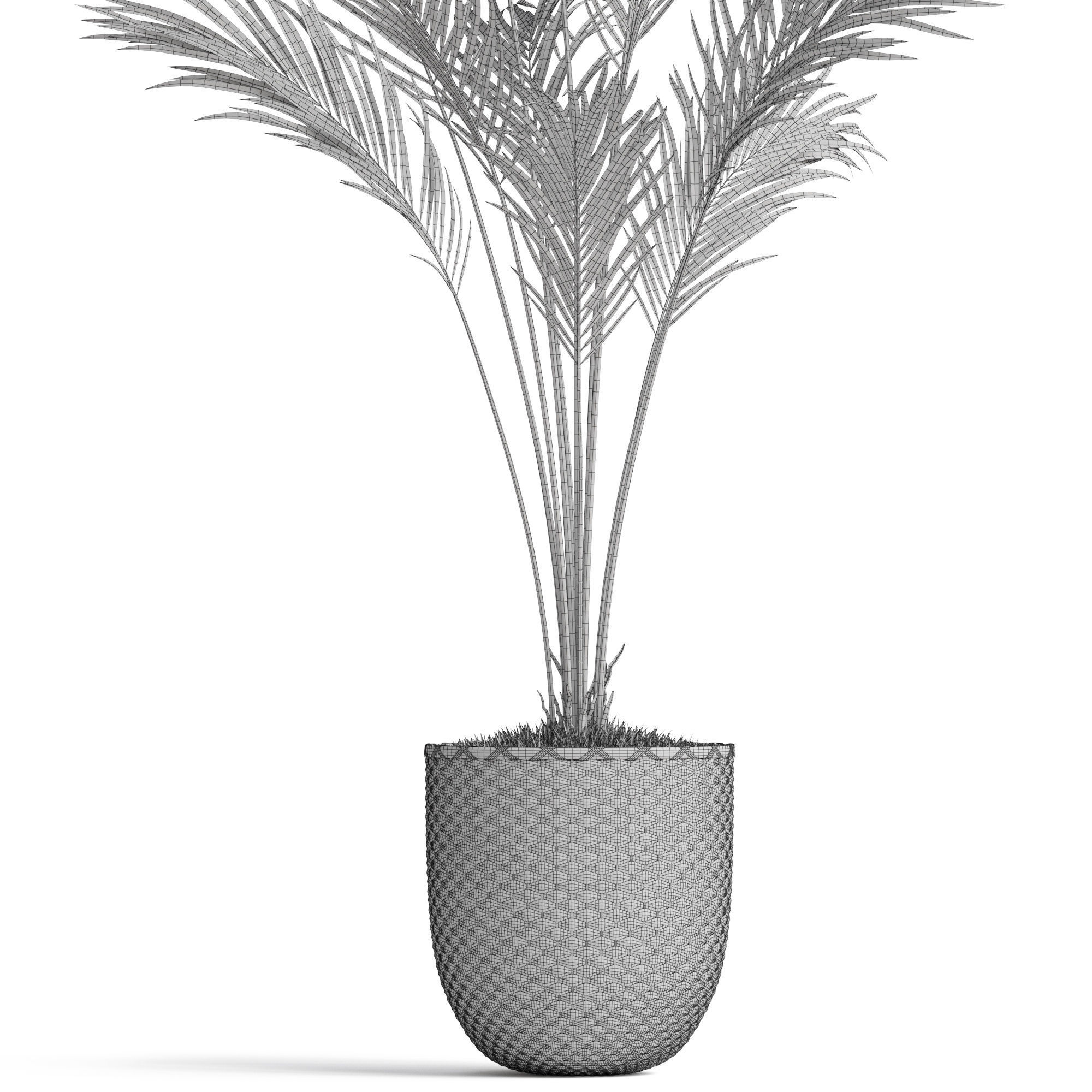 Plants collection 774 3D model | CGTrader