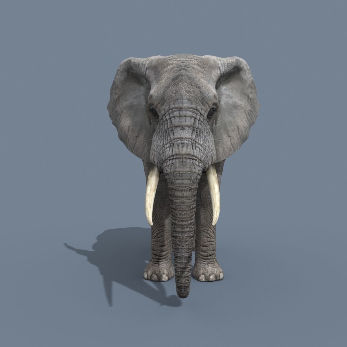 Colossal Animal Pack HD - Animated 3D model animated rigged | CGTrader