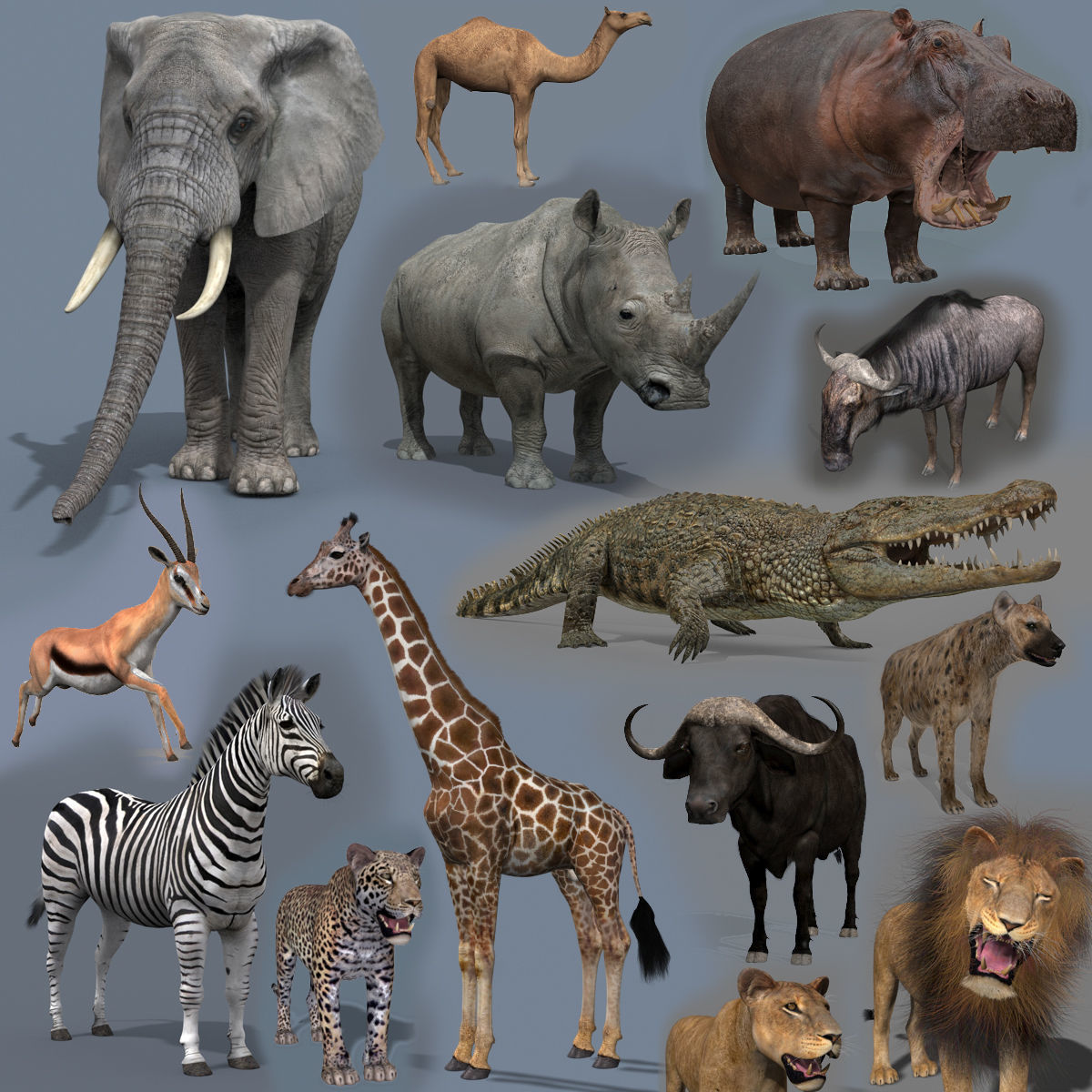 Colossal Animal Pack HD - Animated 3D model animated rigged | CGTrader