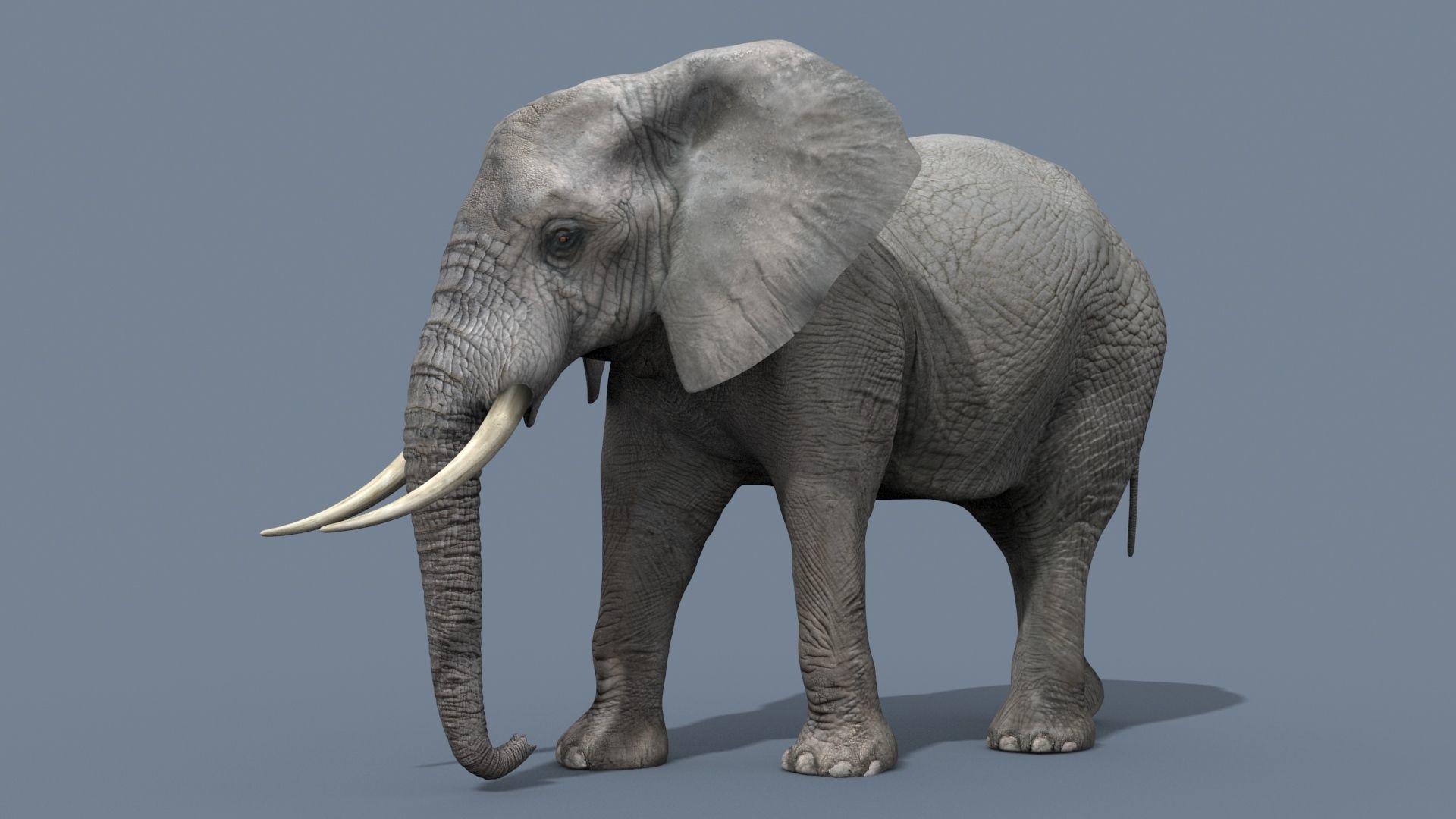 Colossal Animal Pack HD - Animated 3D model animated rigged | CGTrader